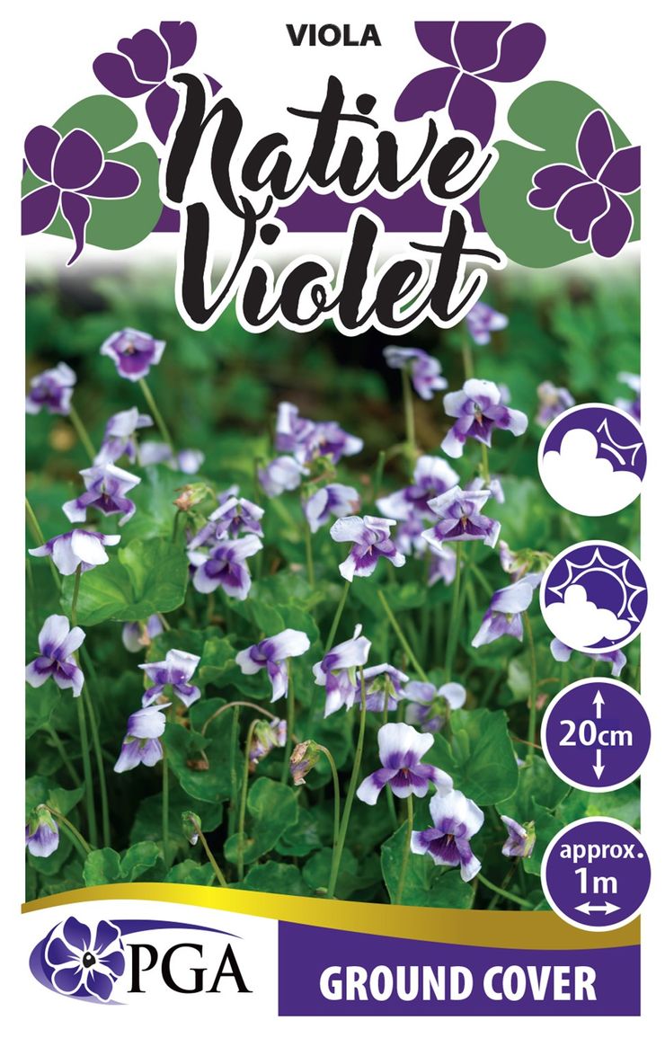 Plant Growers Australia - Viola Native Violet